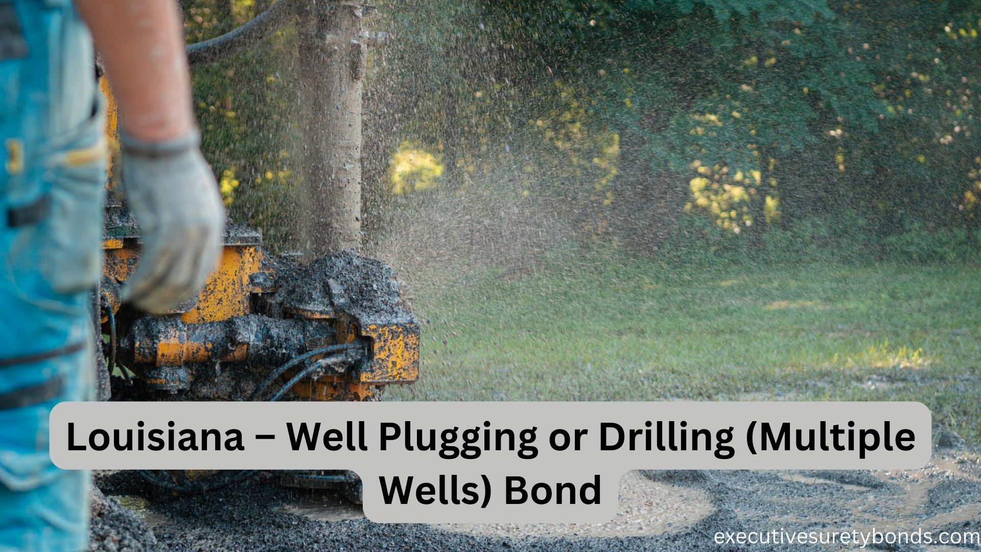 Sealing the Deal: The Louisiana Well Plugging or Drilling (Multiple ...