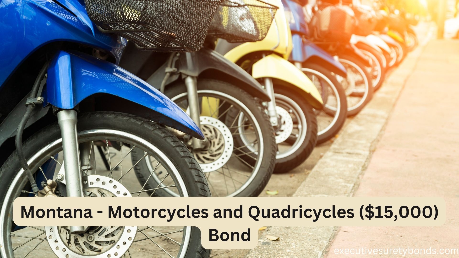 Revving Up Compliance: The Montana Motorcycles and Quadricycles ...