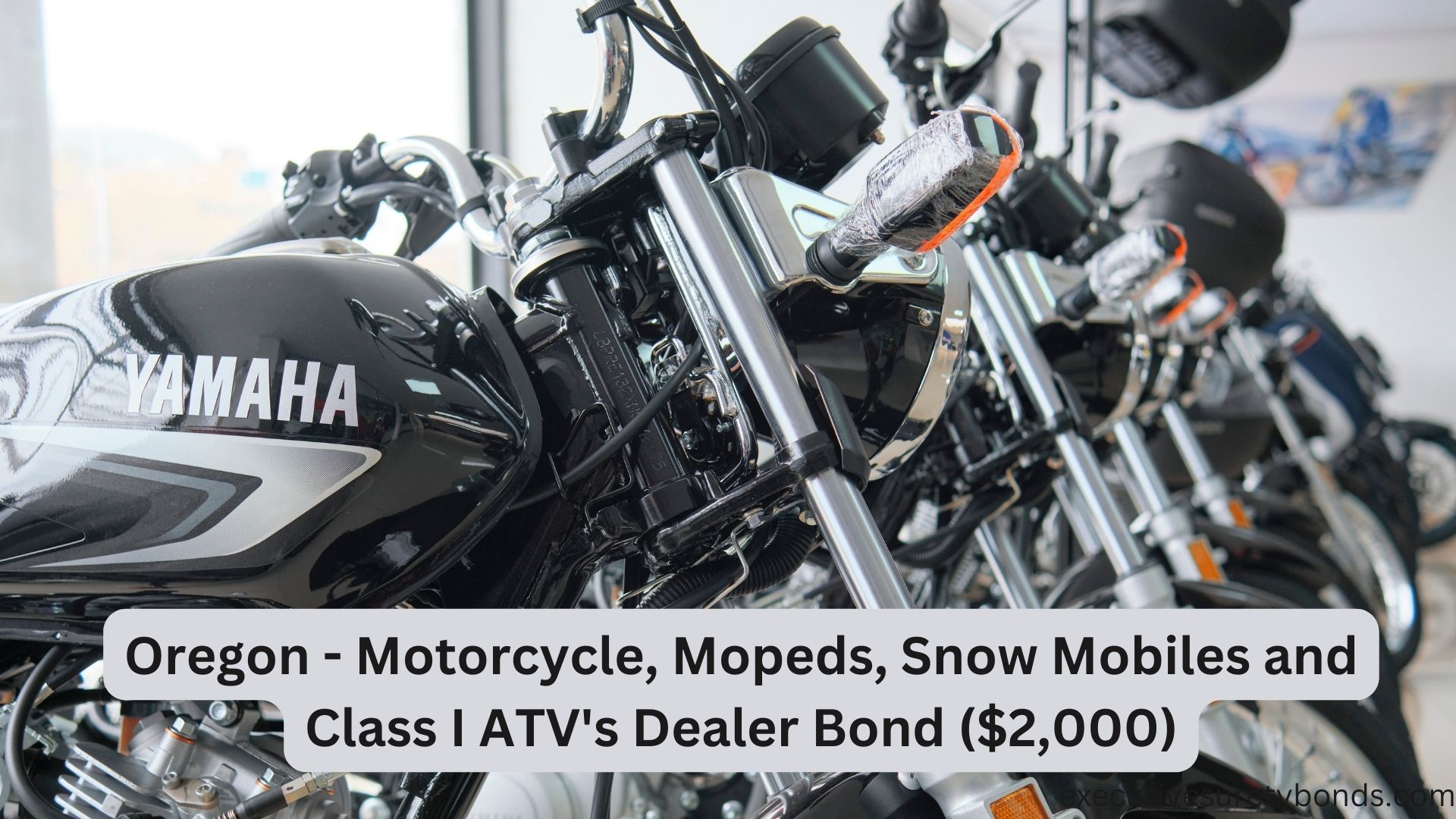 Revving Up Trust: The Oregon Motorcycle, Mopeds, Snowmobiles, and Class ...